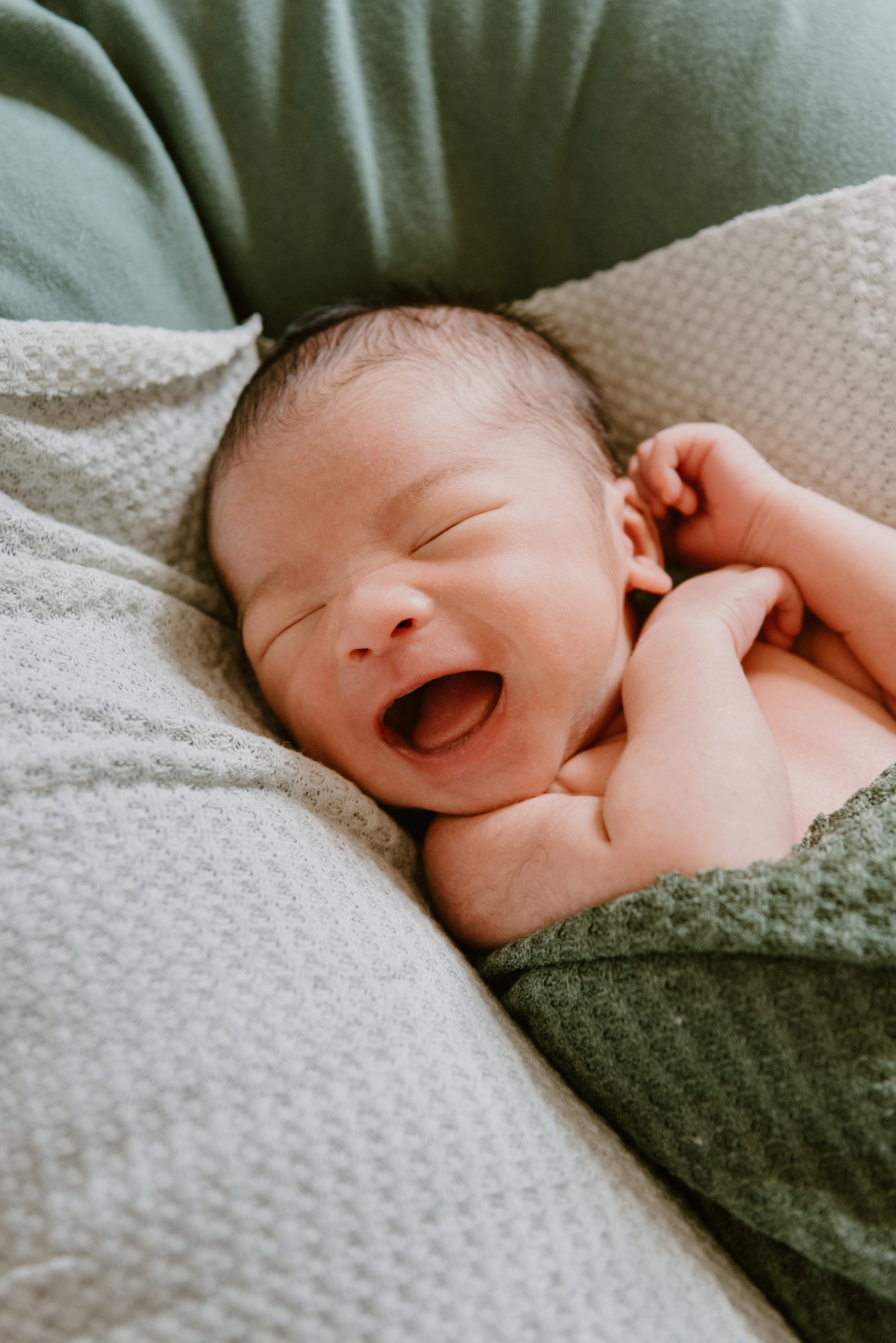 newborn_grayson-10 « blue augustine